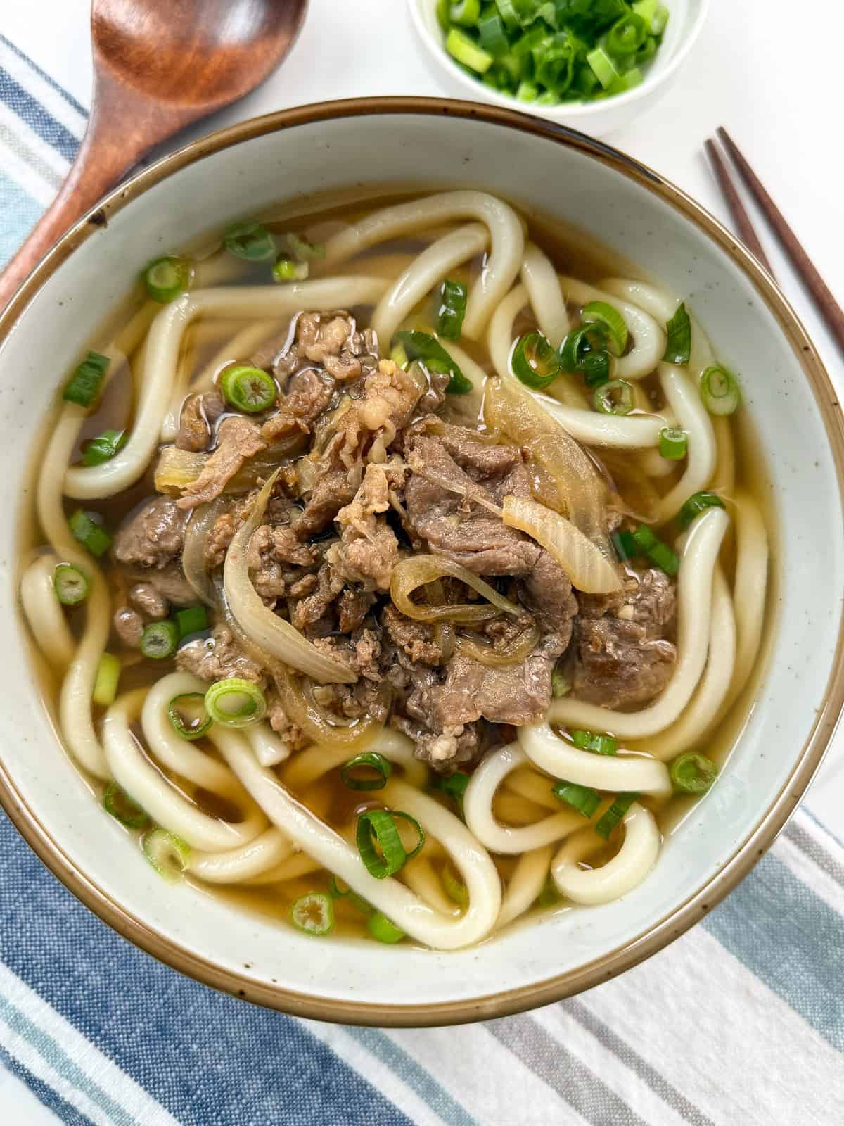 Beef Udon Soup (Niku Udon) - Herman at Home